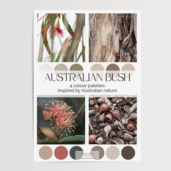 Colour palettes – Australian Flora